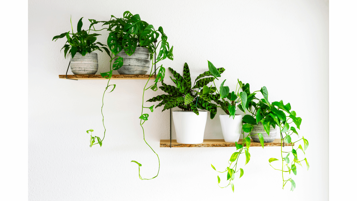 Small House Interior Design: Tips and Tricks - Inside Decors